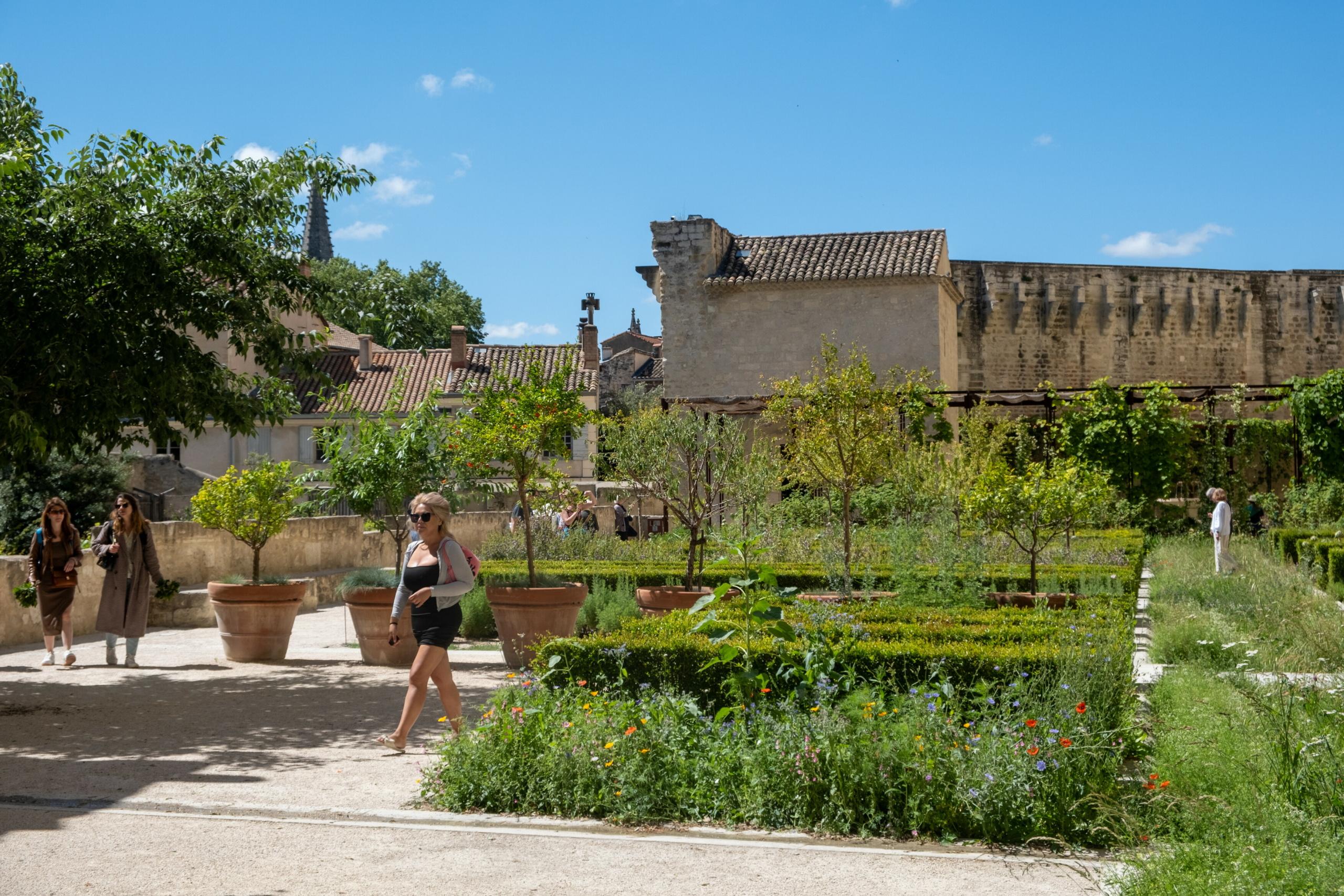 Practical information - Palace of the Popes | Avignon Tourism